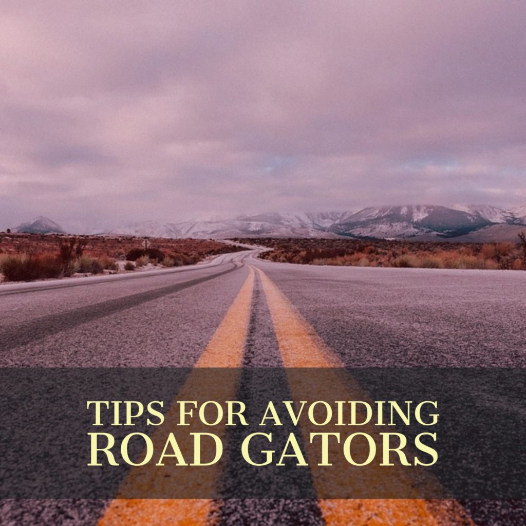 What Are Road Gators? - JusticeNewsFlash.com